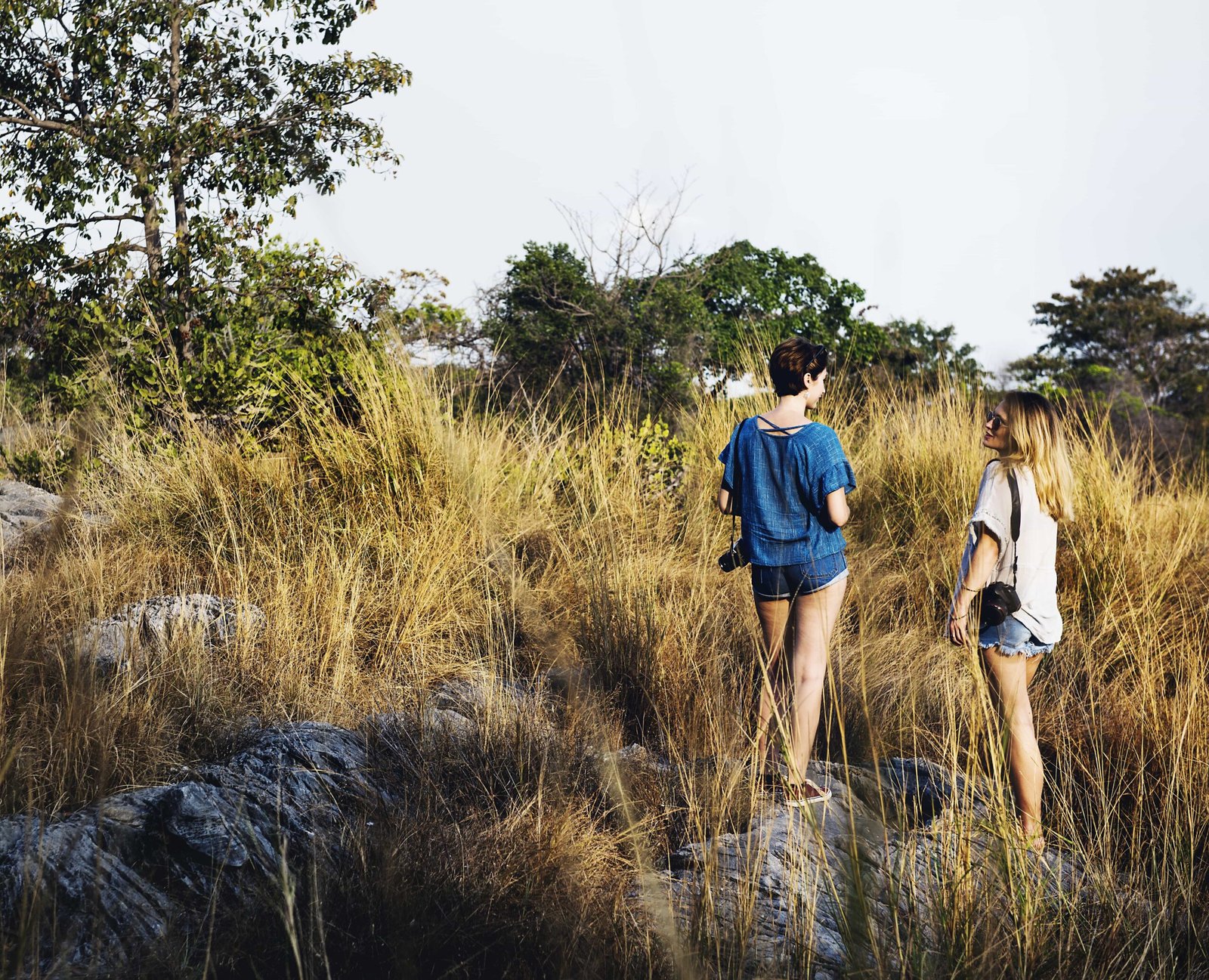 Why We Should Walk More - Spine Posture and Performance